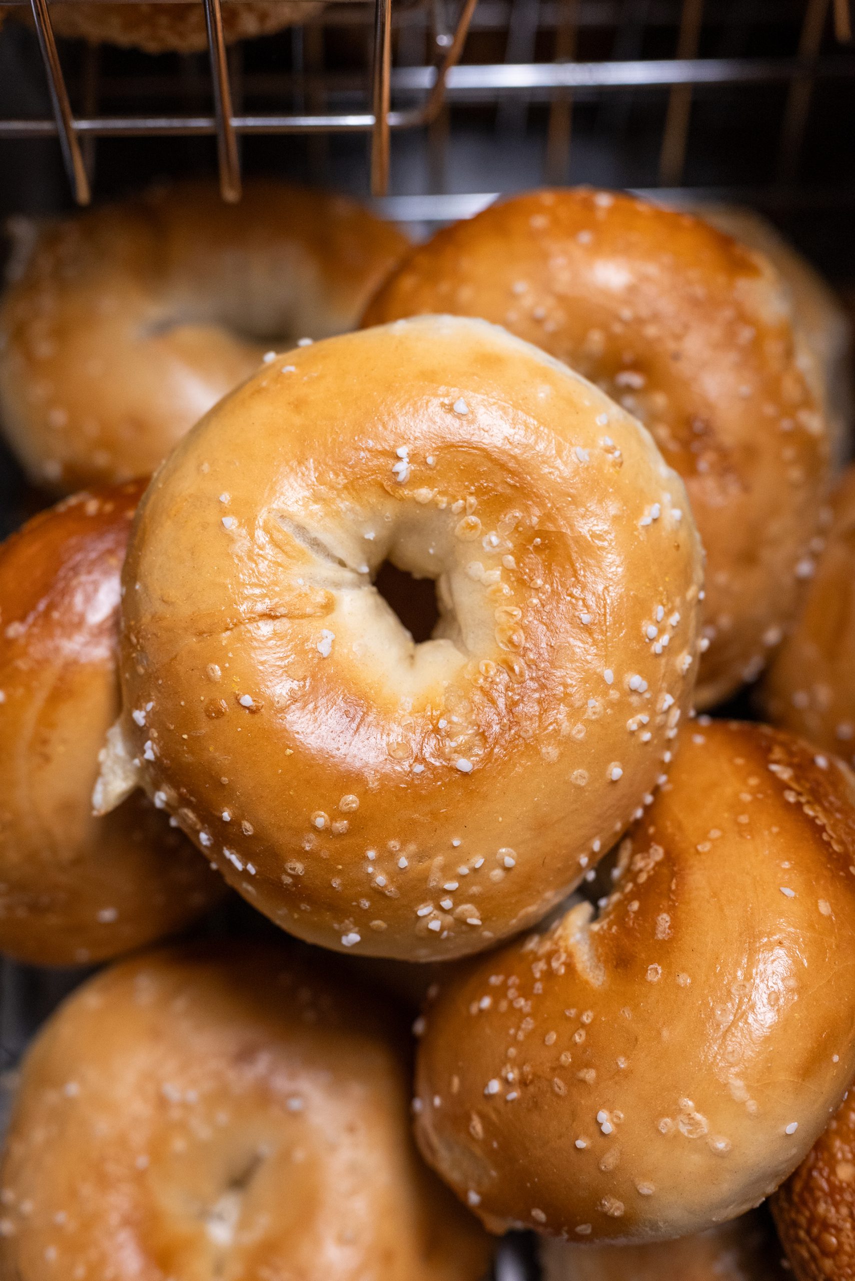 Joey’s Bagels – Fresh NY Style Bagels in WNC